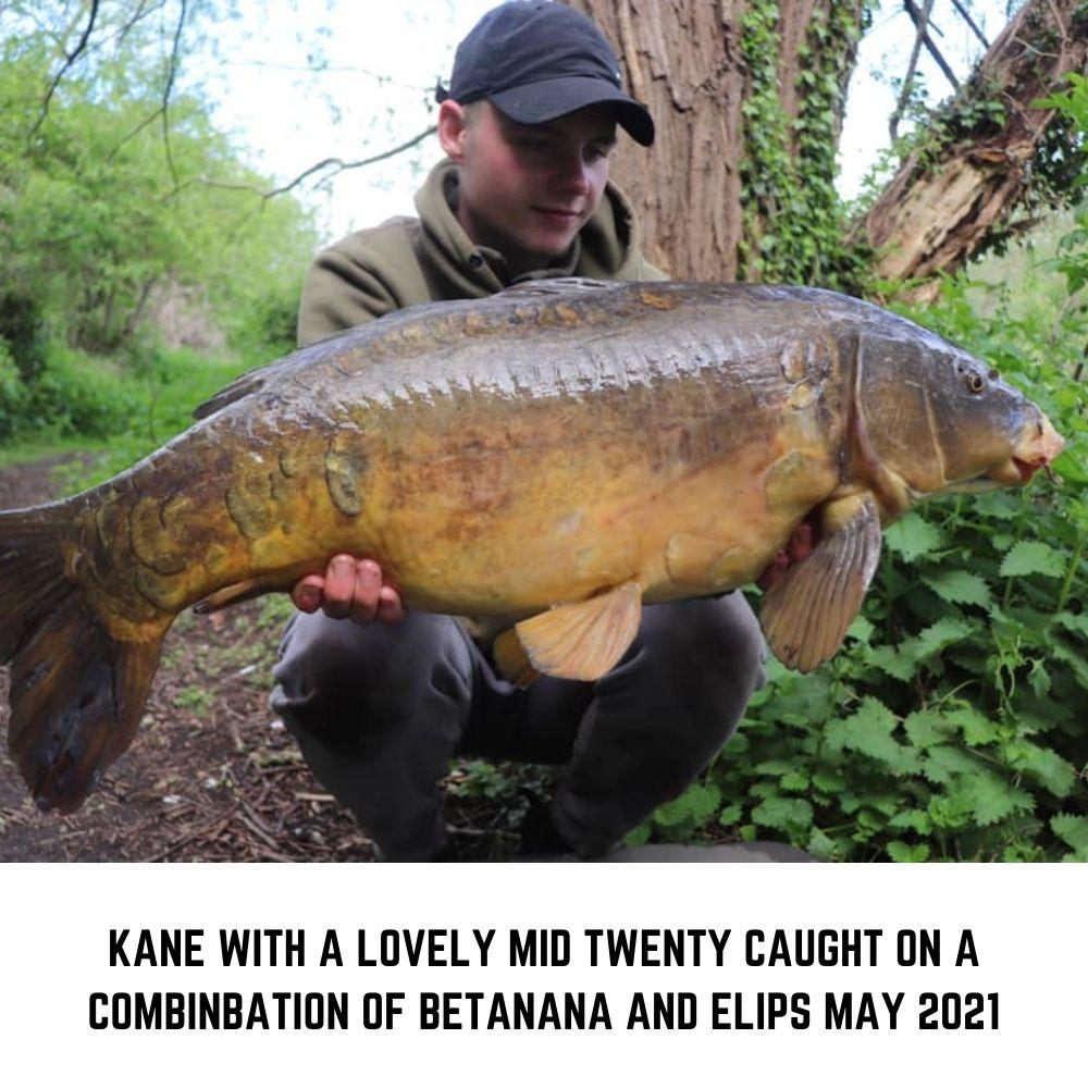 Hinders Elips Pellets - Hinders Baits